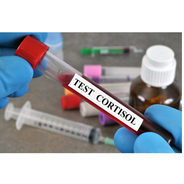 Your Thyroid Health And Cortisol - Dr. Lori Kalie
